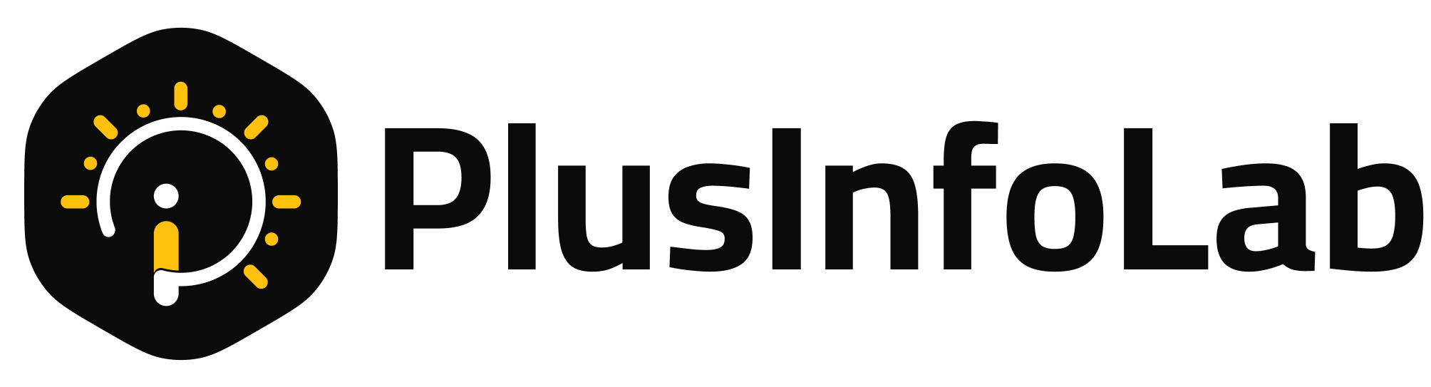 Custom Software Development Company | PlusInfoLab